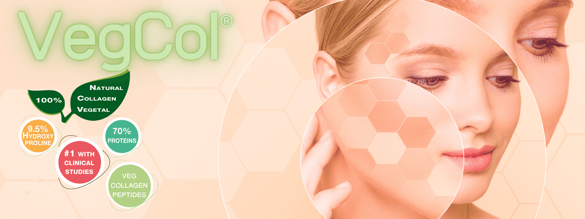 BECARRE Natural | Standardized and objectivized plant extracts