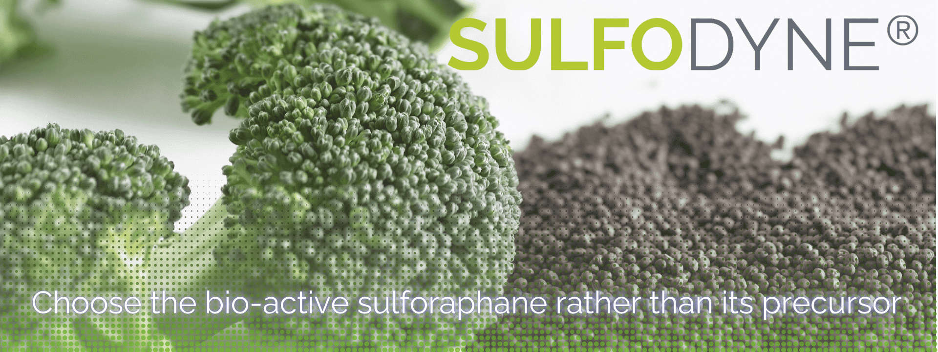 BECARRE Natural | Standardized and objectivized plant extracts